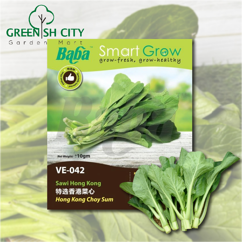 Gnc Baba Smart Grow Seeds Ve 042 Hong Kong Choy Sum Sawi Hong Kong 10g Vege Seed Biji