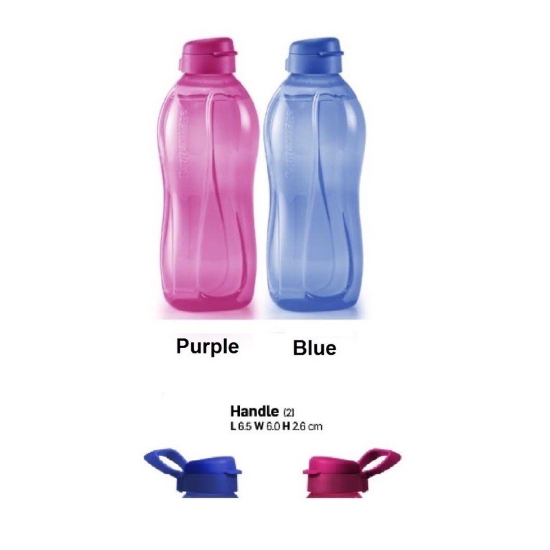 1 Set Botol Eco Tupperware/ Botol Air Kanak Kanak/ Botol Air Sekolah ...