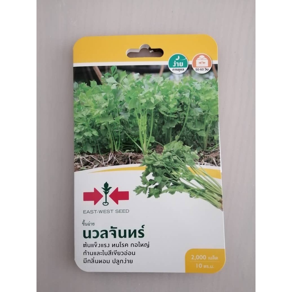 Benih Daun Sup/Sadri Cap Panah Merah/East West (2000 biji) | Shopee ...