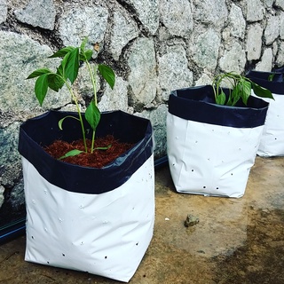 25 PCS Black and White Polybag Thick UV Fertigasi Polibag Hitam & Putih ...