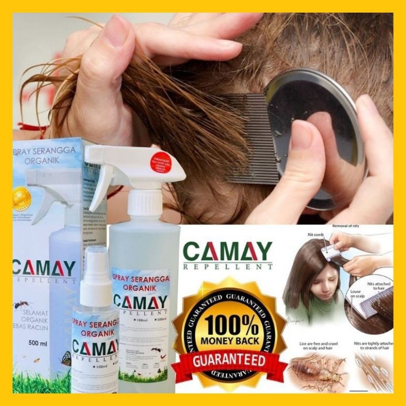 UBAT KUTU KEPALA RAMBUT | CAMAY REPELLENT | SPRAY SERANGGA | NATURAL ...