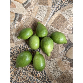 Limau Susu/Puting (3 biji) | Shopee Malaysia