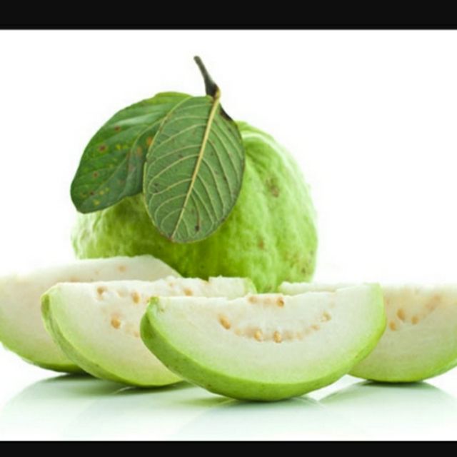 Anak Pokok jambu lohan. Jambu batu. Saiz pokok 1kaki | Shopee Malaysia