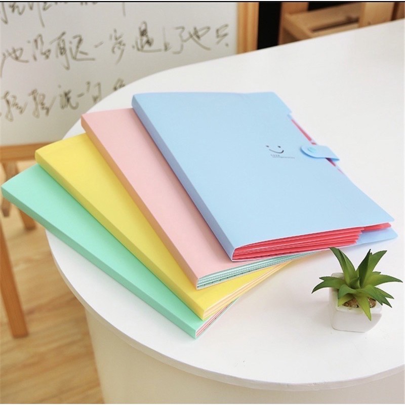 5 & 8 Columns A4-Paper Expanding File Folder Pockets Documents ...