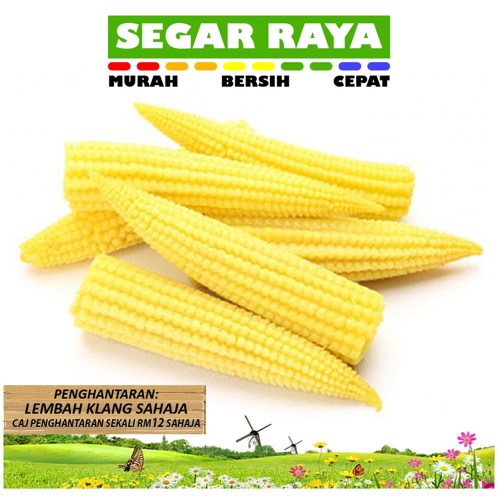 SAYUR Jagung Muda (100g+-) Baby Corn SEGAR RAYA | Shopee Malaysia