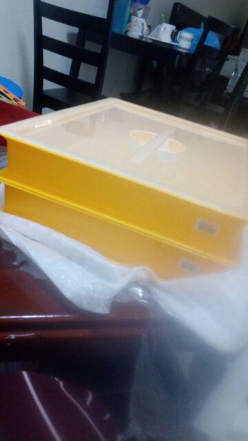 Plastic Cake Tray / Bread Tray / Bakery Tray / Food Tray / Yellow Tray ...
