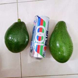 [Malaysia Ready Stock] 1kg Fresh Avocado from Cameron Highlands - Pick ...