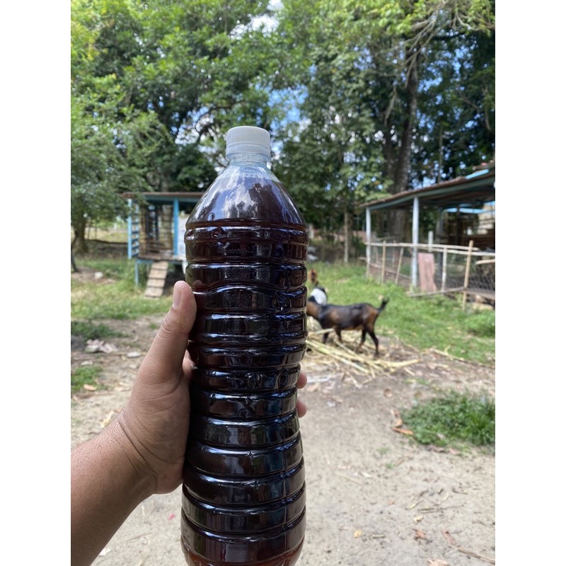 Gula Merah Ternakan (Molasses Gula merah resipi fermentasi) | Shopee ...