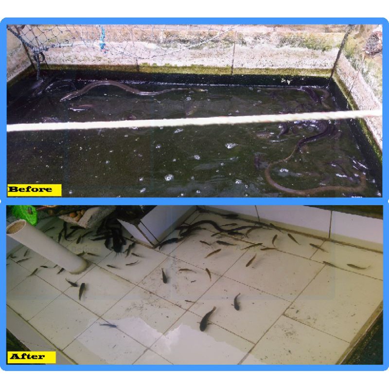 Spray Mozek , lantai , Tandas , Semi dan pelbagai termasuk peralatan ...