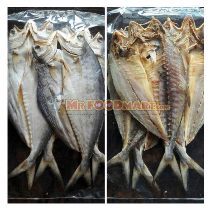 Ikan Talang Masin (Ekor) | Shopee Malaysia