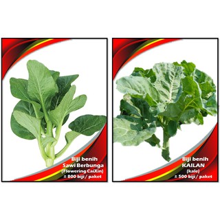 Biji Benih Sayur-Sayuran (Vegetables seeds) [kangkong bayam sawi salad ...