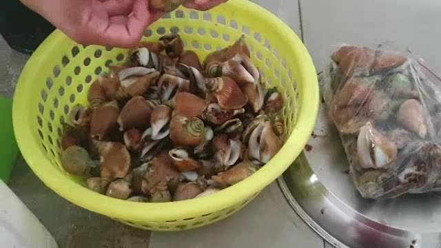 Siput Tarik Seafood Fresh Frozen Siput Gonggong 1kg | Shopee Malaysia