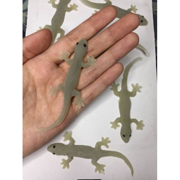 mainan getah cicak realistic | Shopee Malaysia