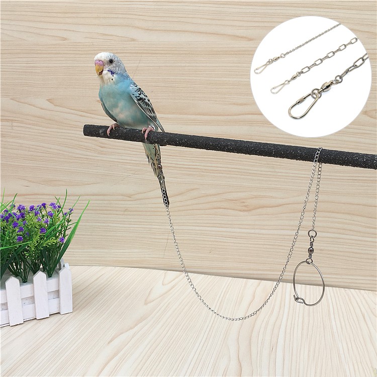 Parrot Leg Ring Anklet Foot Chain 40cm Bird Outdoor Flying Workout ...