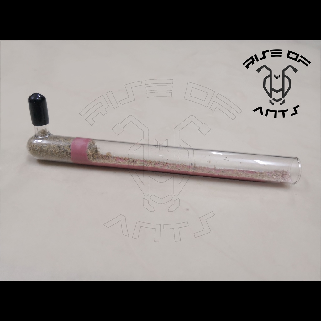 Paste test tube Pet Ant Farm Ant breeding ant nest cage test tube ...