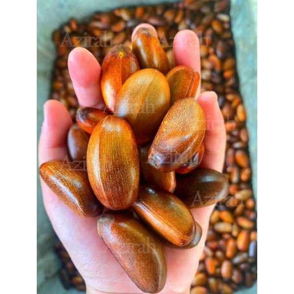 BUAH PERAH 100BIJI + FREE 10BIJI ready stock promosi terhad | Shopee ...