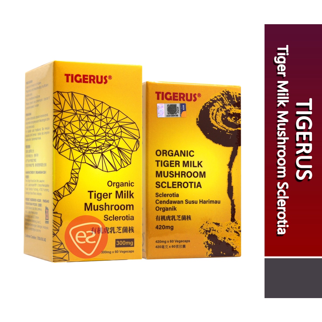 TIGERUS ORGANIC TIGER MILK MUSHROOM SCLEROTIA VEGECAP ( 300MG / 420MG ...