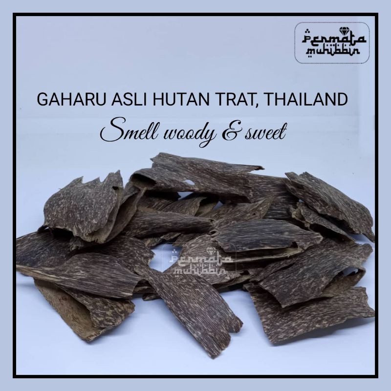 Gaharu Asli dari hutan Trat, Thailand agarwood wangian rumah aromaterapi | Shopee Malaysia