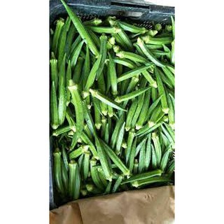 Biji benih bendi okra lady fingers jenis hijau panjang lembut dan manis ...