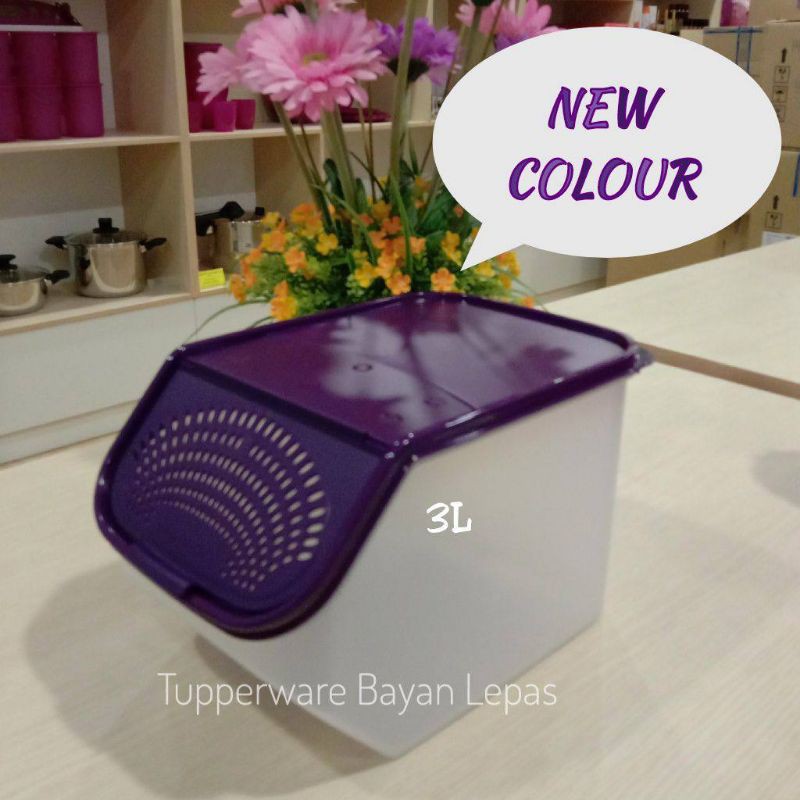 [READY STOK] [HAVE 3 COLORS] TUPPERWARE bekas bawang sebiji | Shopee ...
