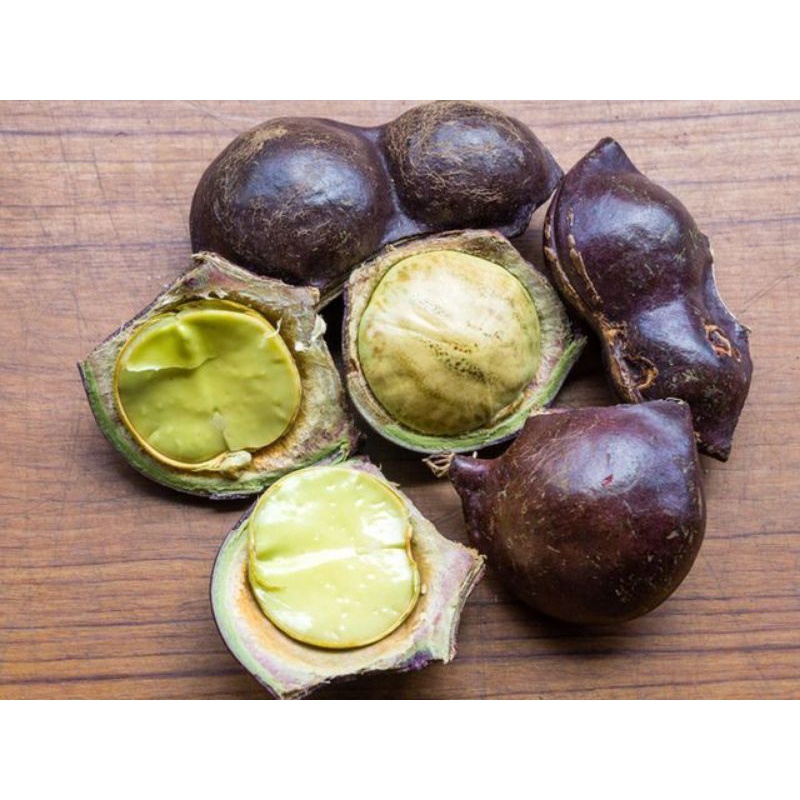 buah jering muda, buah jering tua, jengkol muda, jering ulam, makanan ...