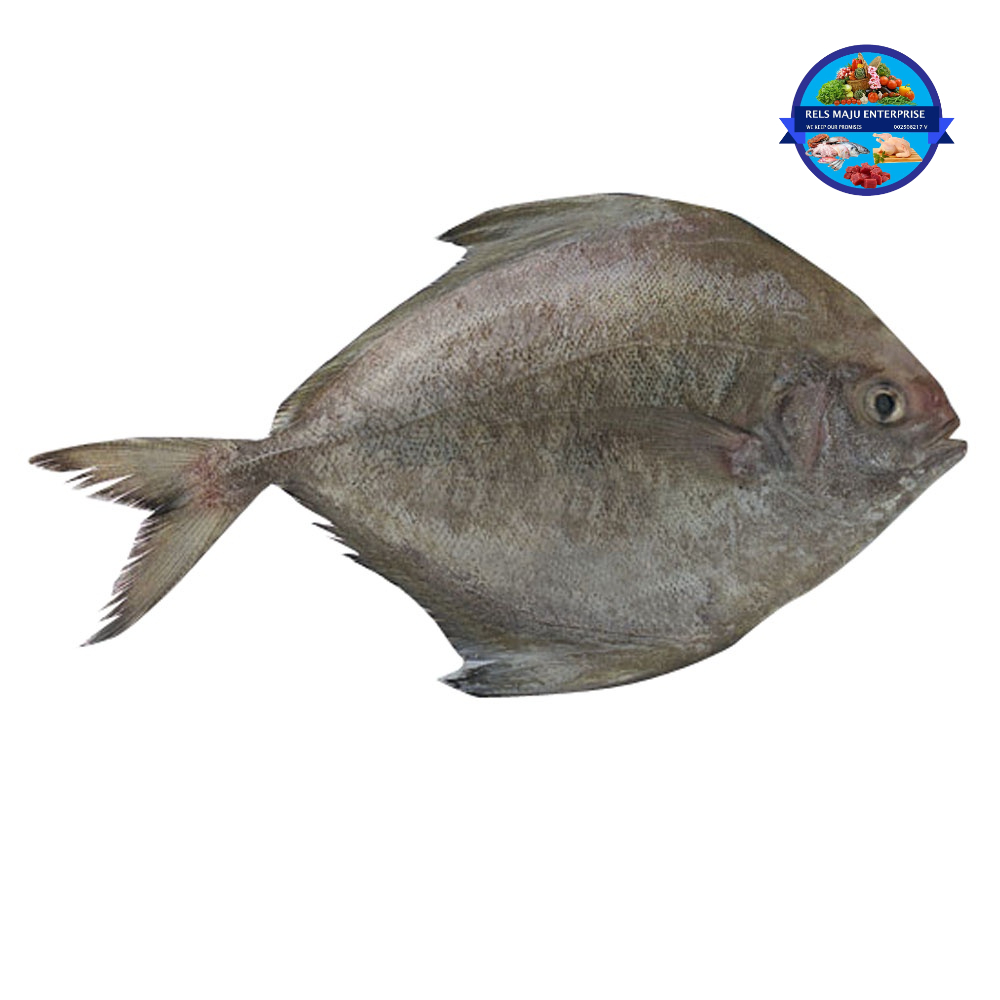 IKAN BAWAL HITAM SEJUK BEKU / FROZEN BLACK POMFRET (1 OR 2 PC) | Shopee ...