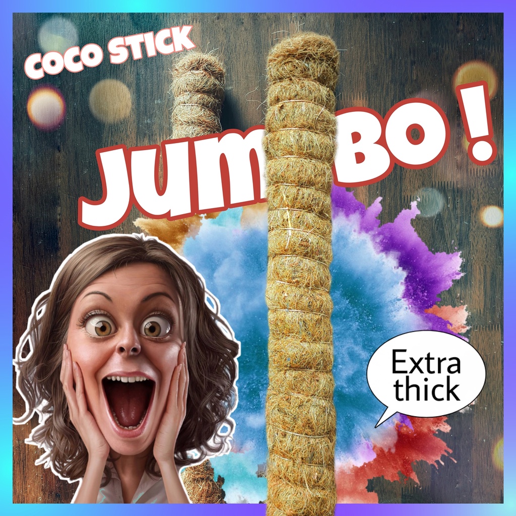 Coco Stick jumbo/Batang Sabut /extra thick/3 FEET(91cm)/4 FEET(122cm ...