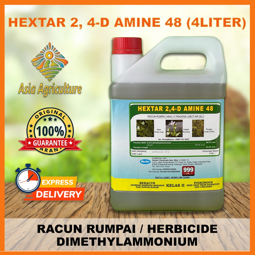 ASIA AGRICULTURE HEXTAR 2 4-D AMINE 48 4LITER RACUN RUMPAI HERBICIDE ...