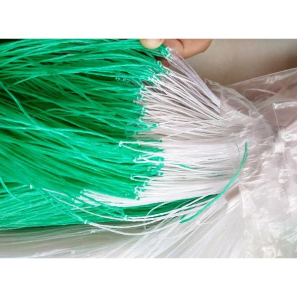 Cucumber Net Netting / Jaring Timun / Plant Support Net Plant Climbing ...