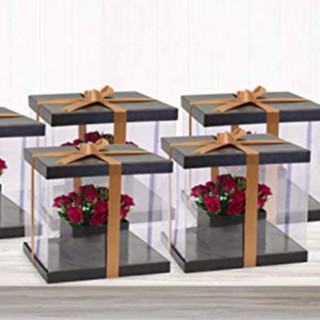 ONE TIER TRANSPARENT CAKE BOX WITHOUT RIBBON Transparent Cake Box Kotak ...
