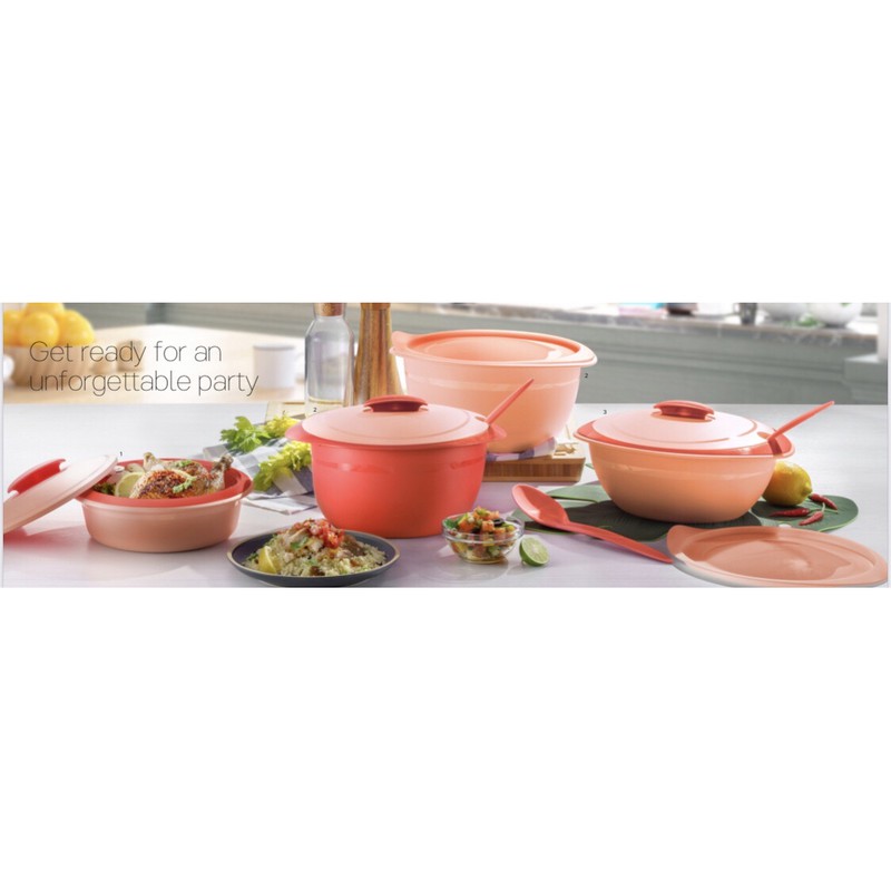 Tupperware Insulated Servers with spoon (full) | Shopee Malaysia