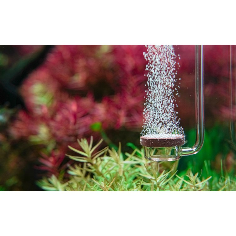 Aquario Neo Co2 Diffuser Curve Special Tiny / S / M / L - Ultra fine ...