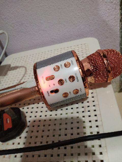 Profissional Sem Fio Bluetooth Speaker Karaoke Microfone de Music Player Gravador de KTV ws858 ...