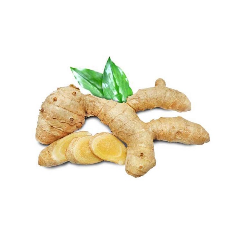 KUNYIT PUTIH / BENIH KUNYIT PUTIH / DAUN KUNYIT PUTIH | Shopee Malaysia