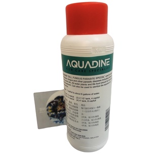 Aquadene 4A GILL FUNGUS, PARASITE SPECIES 200ml | Shopee Malaysia