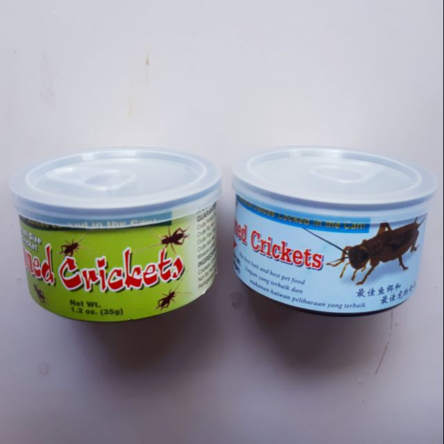 Cengkerik Dalam Tin / Canned Crickets | Shopee Malaysia