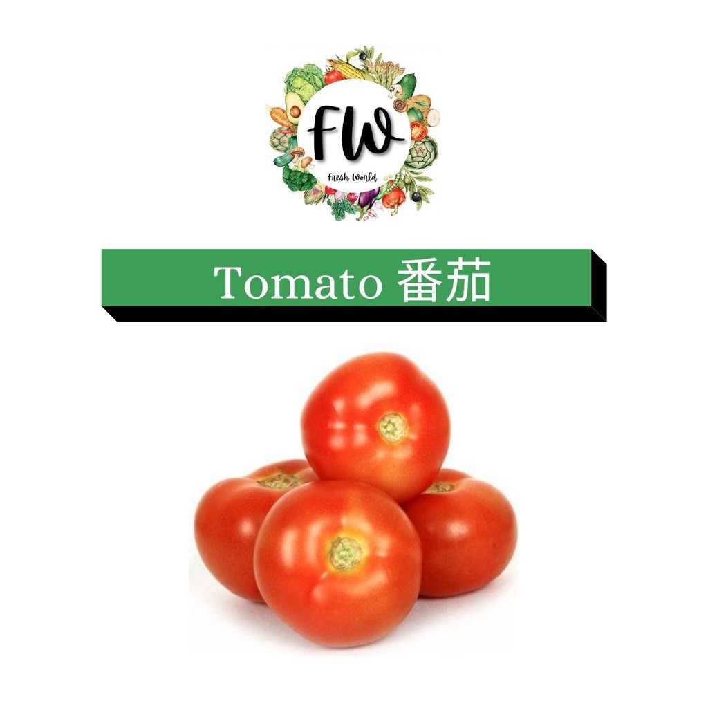 Fresh Cameron Tomato 番茄 SIZE LL @ 1PCS Daily Fresh Vegetable | Shopee ...