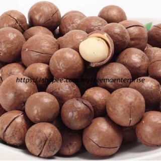 [1 KG] MACADAMIA NUTS | Kacang Macadamia | Kacang Loceng [Ready-To-Eat ...