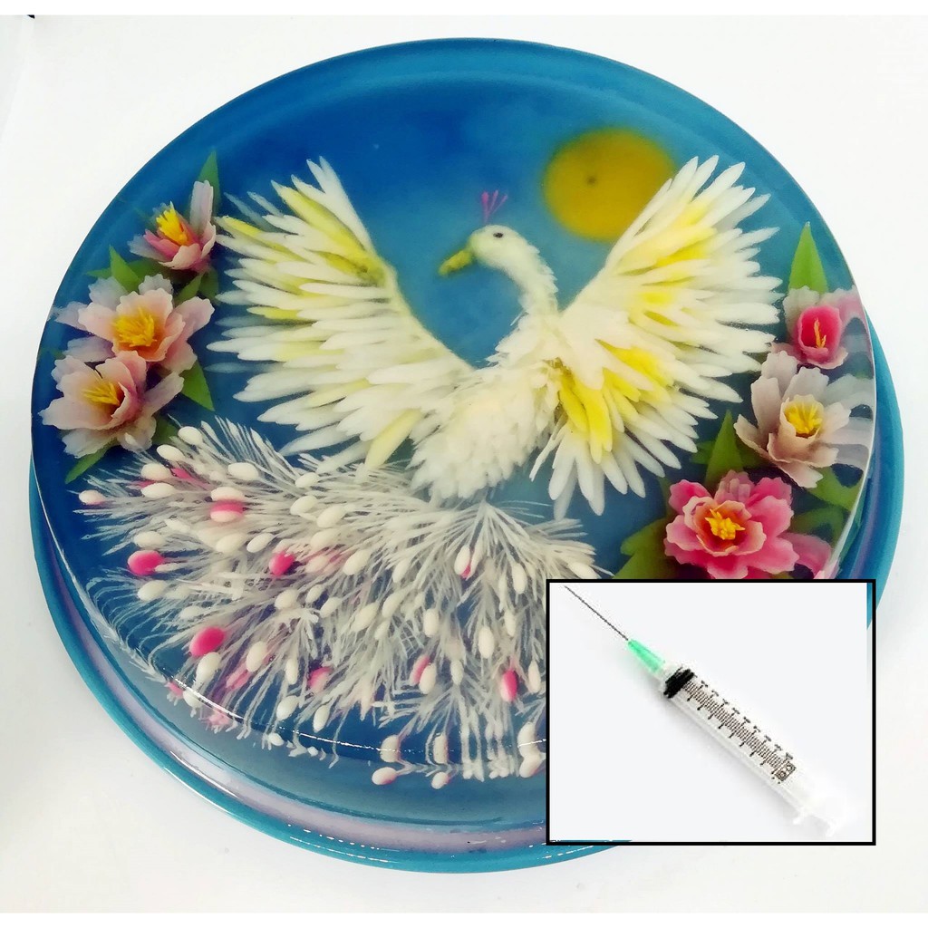 Syringe Gelatin Art Tools Kitchen/ 3D Flower Jelly Tool(10ml) | Shopee ...