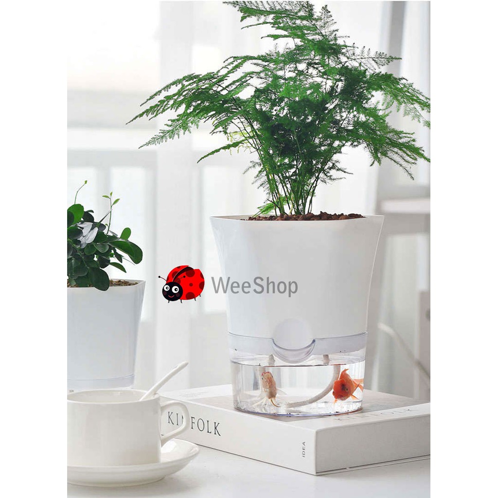 Pasu Bunga Plastik Putih Telus Besar Aquaponik Hidroponik | Shopee Malaysia