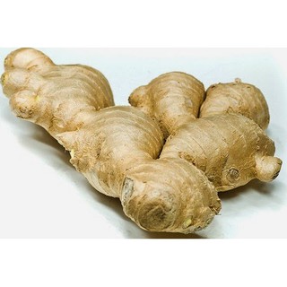 HALIA TUA FRESH ORG KG (250 GRAM) | Shopee Malaysia