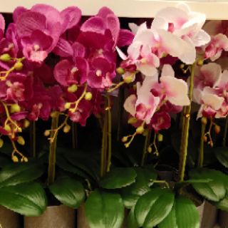 Kaison Artificial Potted Plant Purple & White Orchid Pokok Bunga Hiasan ...