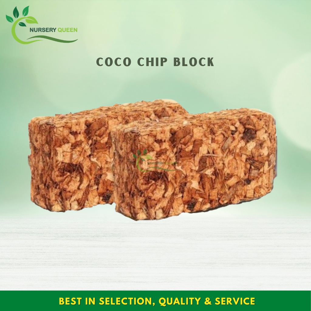 [Hot!!] Coco Chip Block Sabut Kelapa Cincang (+-650g) | Shopee Malaysia