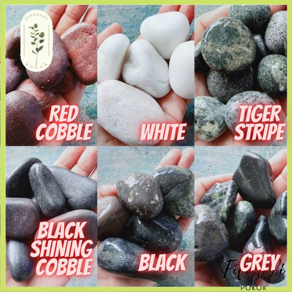 (1Kg) 2-3cm Batu Sungai Hiasan Dalaman/ Landskap/ Refleksologi | Shopee ...