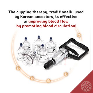 💖Ready to Stock💖 HANSOL cupping therapy sets 19 cups, 30cups set ...