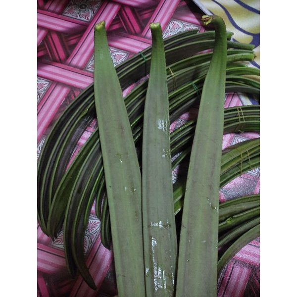 Buah Beka Muda (bonglai) | Shopee Malaysia