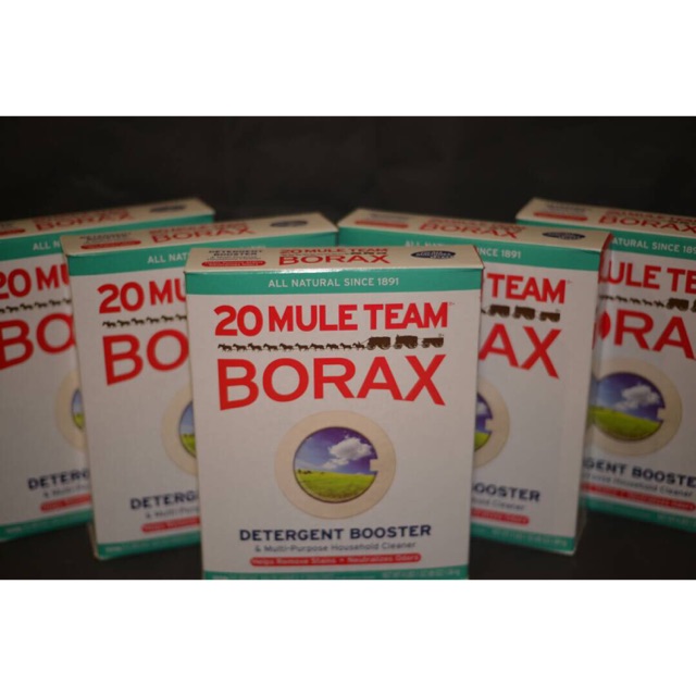 One Box Borax | Shopee Malaysia
