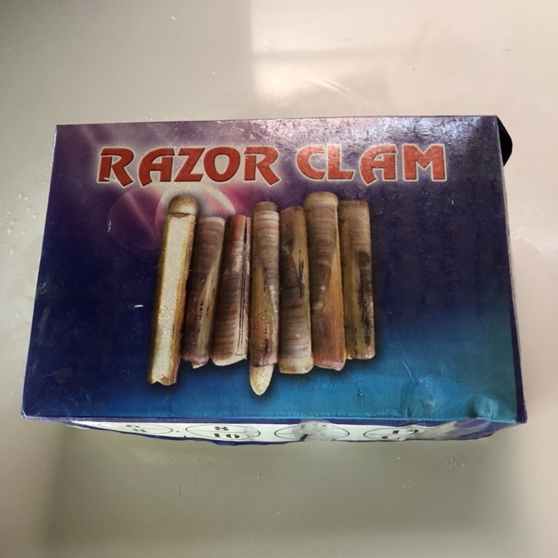 SIPUT BULUT @ PEPAHAT (1kg pack) | Shopee Malaysia