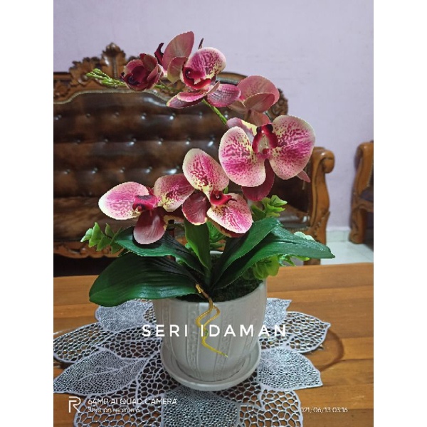 orkid latex pasu seramik untuk meja kopi | Shopee Malaysia