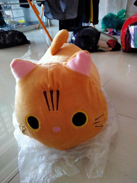 Cat Plush Toy Cartoon Soft Stuffed Dolls Cute Animal Plush Toys Reading ...